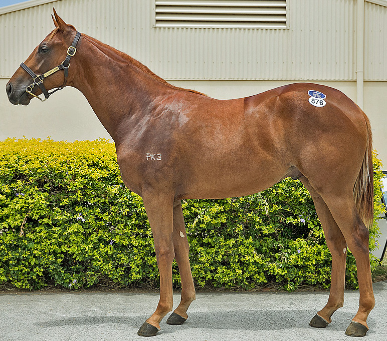 Horse Syndications by Dynamic Syndications