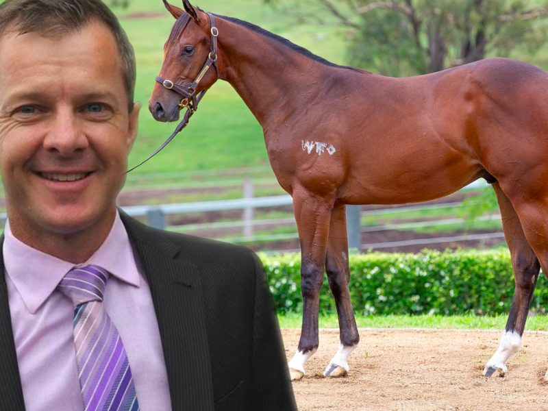 Gold Coast Looms but Sydney First for Exceed And Excel colt HARD TO SAY